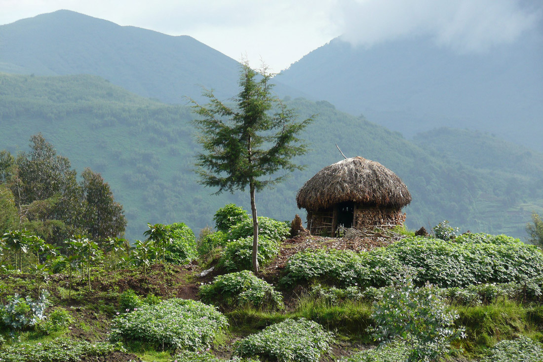 Travel Destination is Rwanda - BlahFace.com