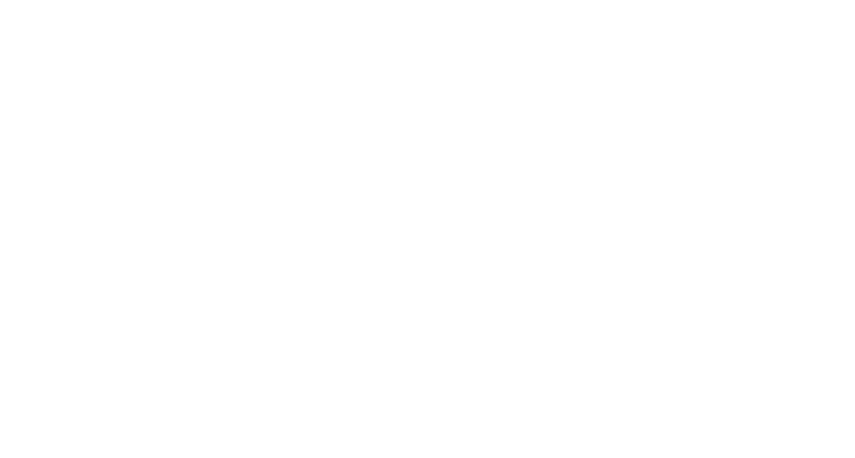 Naples Mayor Teresa Heitmann for Reelection - BlahFace.com